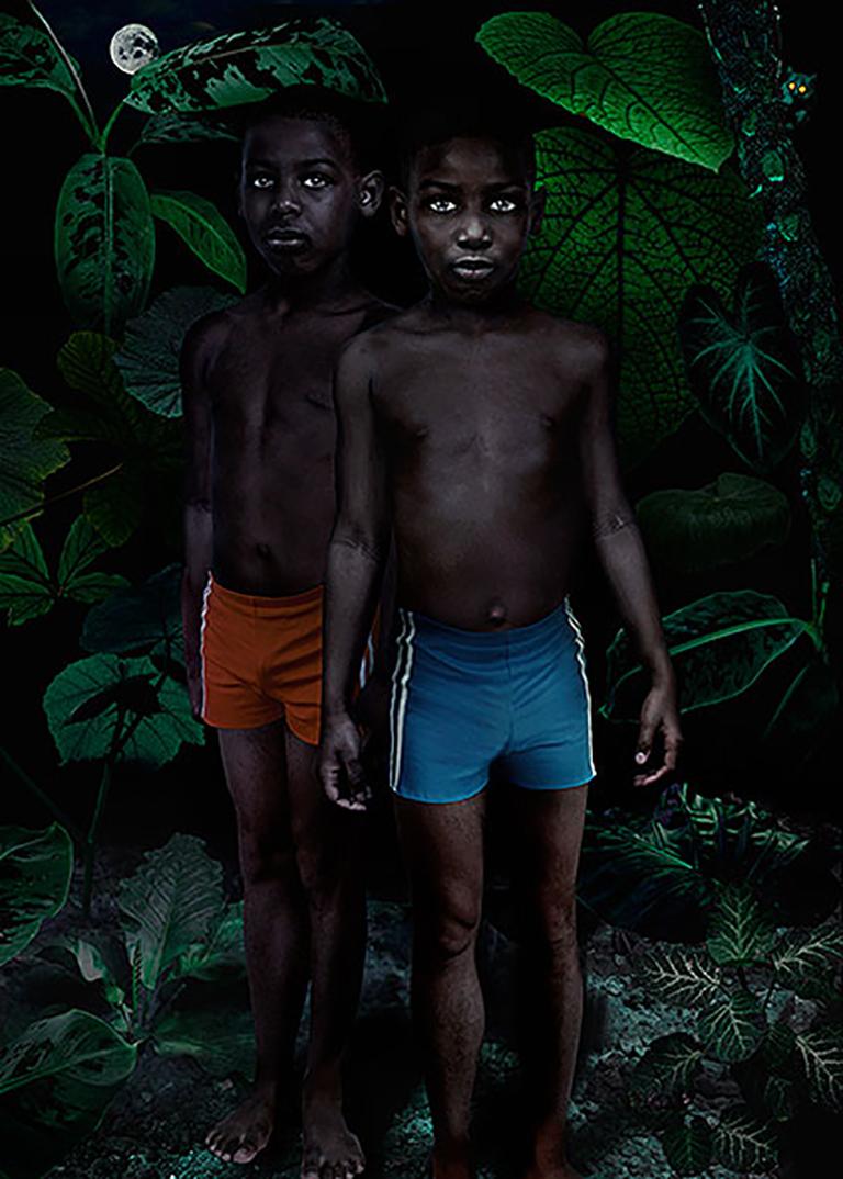 Ruud van Empel - Moon #2 - Ruud van Empel (Colour Photography) For Sale ...