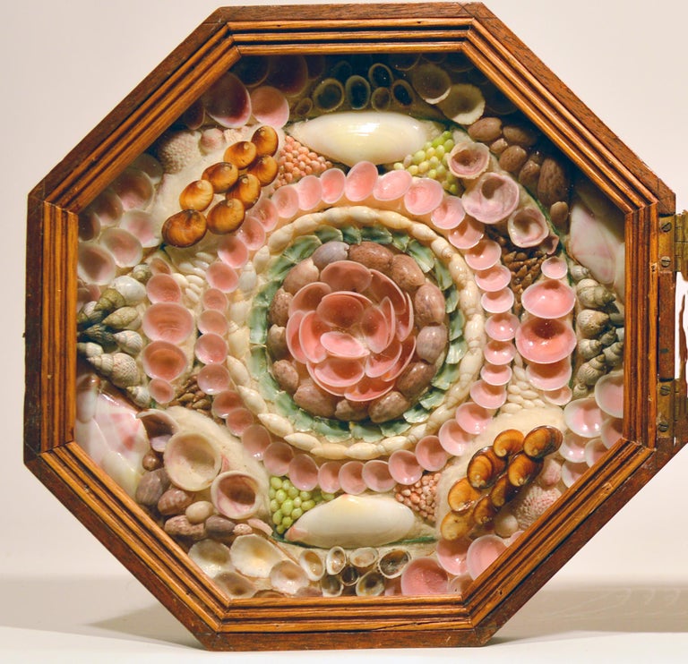 Sailor's Double Shell Valentine, Barbados, West Indies at 1stDibs