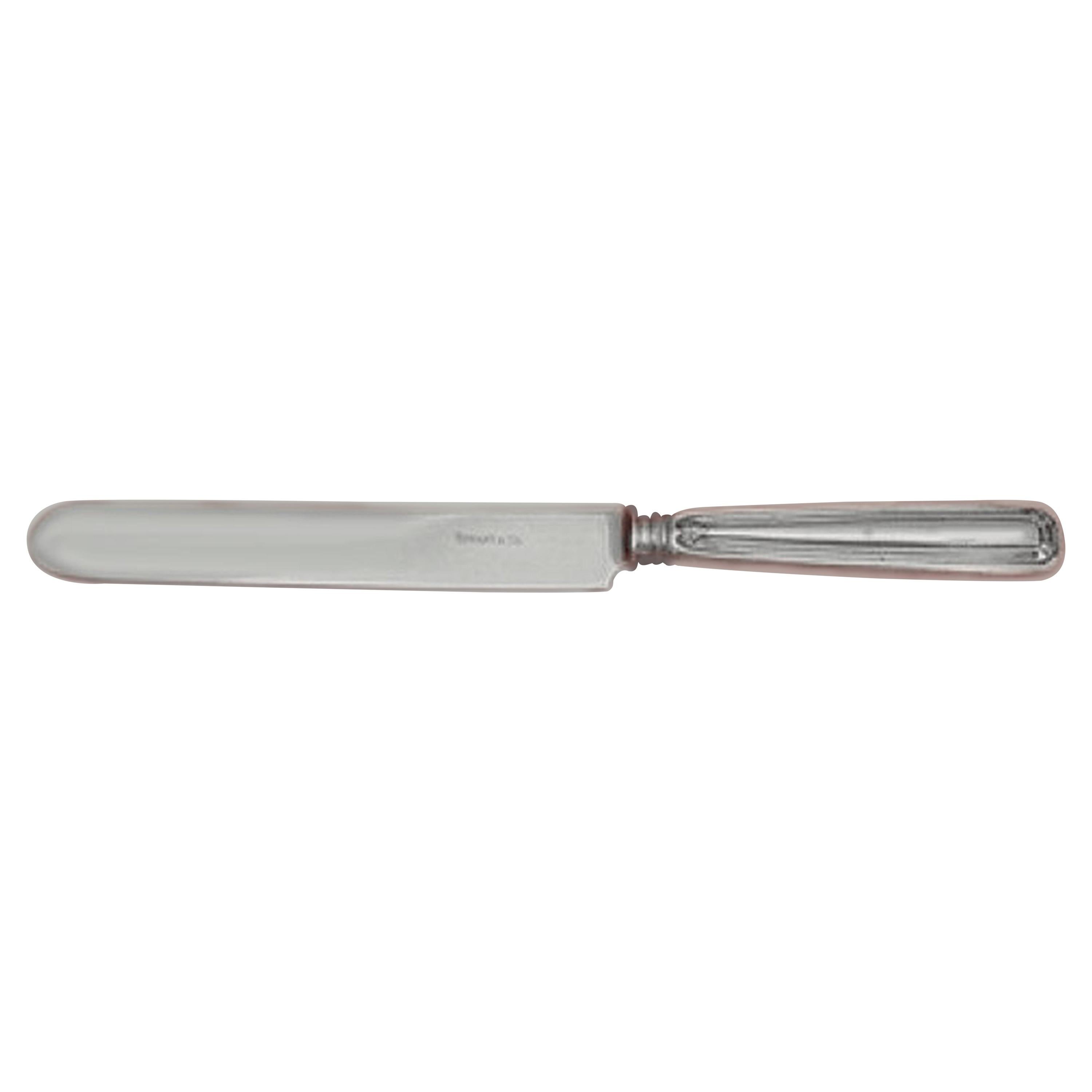 Saint Dunstan by Tiffany and Co. Sterling Silver Regular Knife New ...