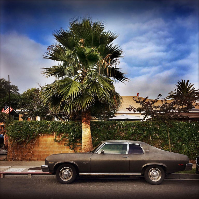 Sally Davies - Venice Nova (Los Angeles), Original Photograph — Sally ...