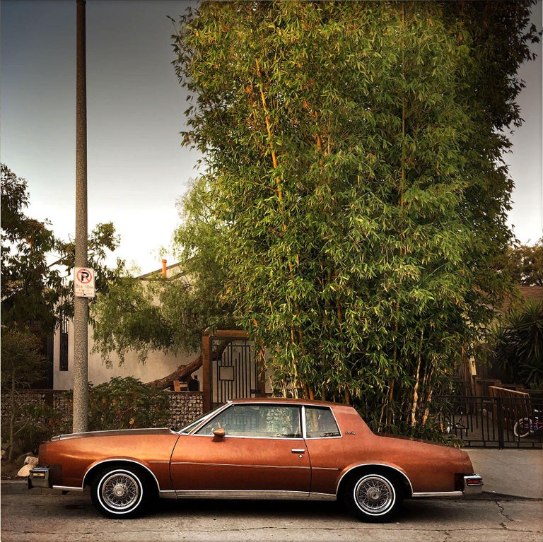 Sally Davies - Venice Vintage Car (Los Angeles), Original Photograph ...