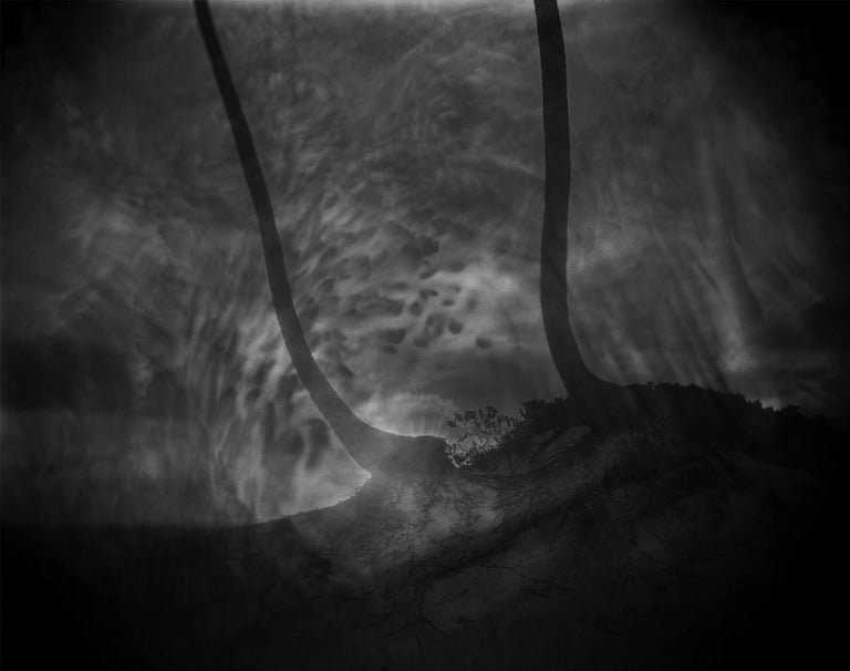 Sally Mann – Unbenannt im Angebot bei 1stDibs