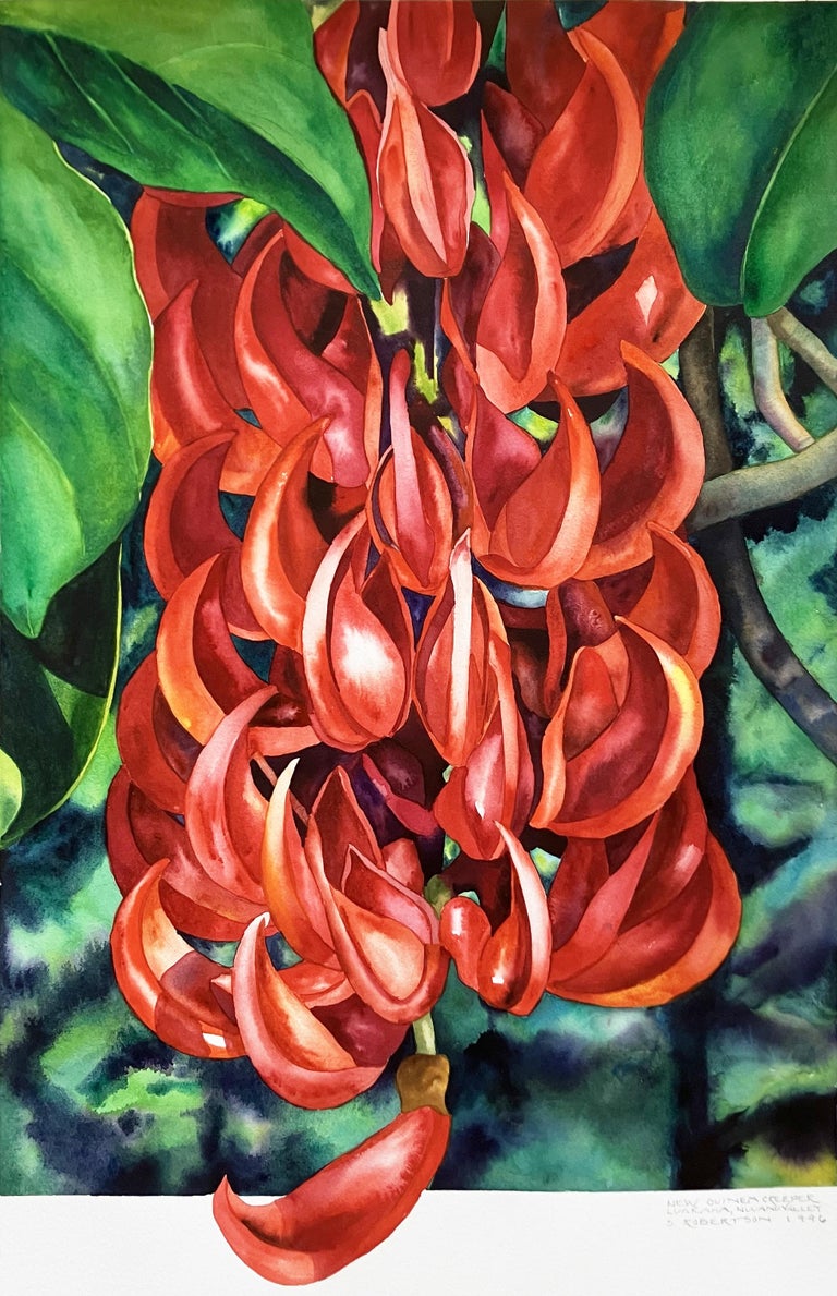 Sally Robertson - New Guinea Creeper For Sale at 1stDibs