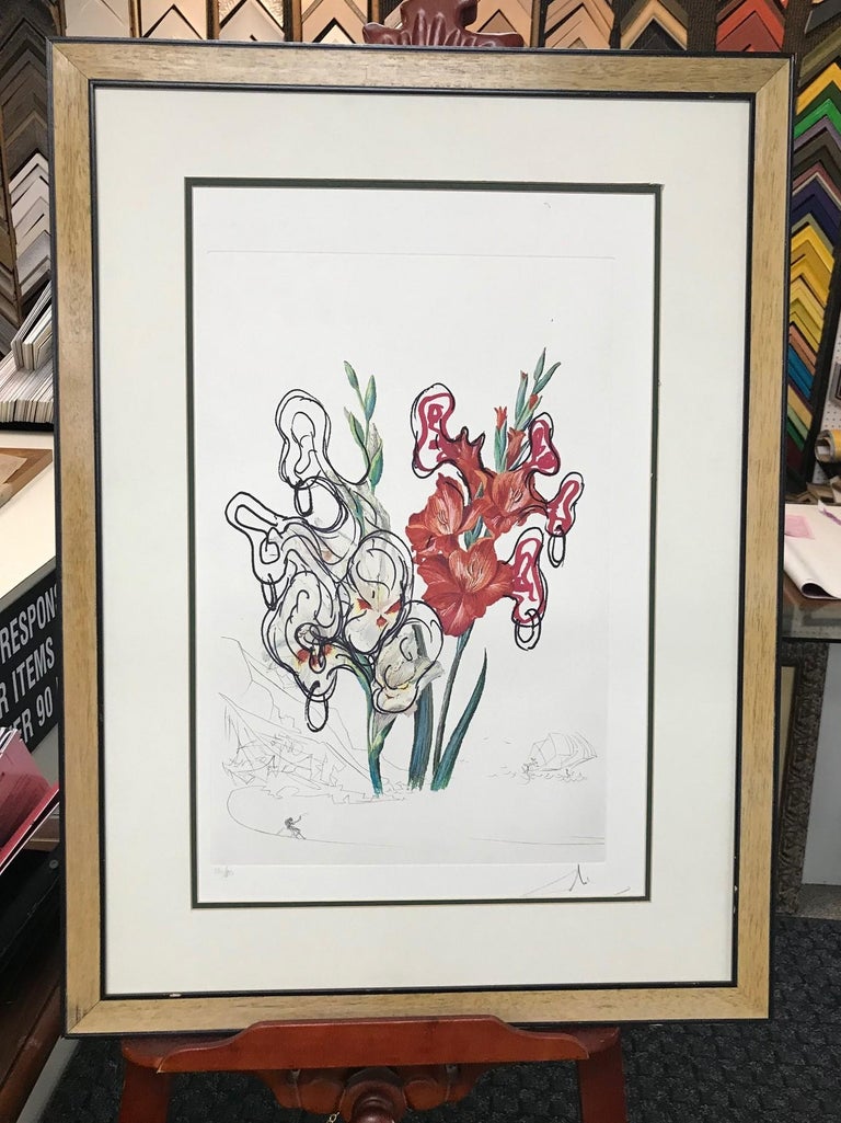 Salvador Dali Original Limited Edition Signed Lithograph Pirate's ...