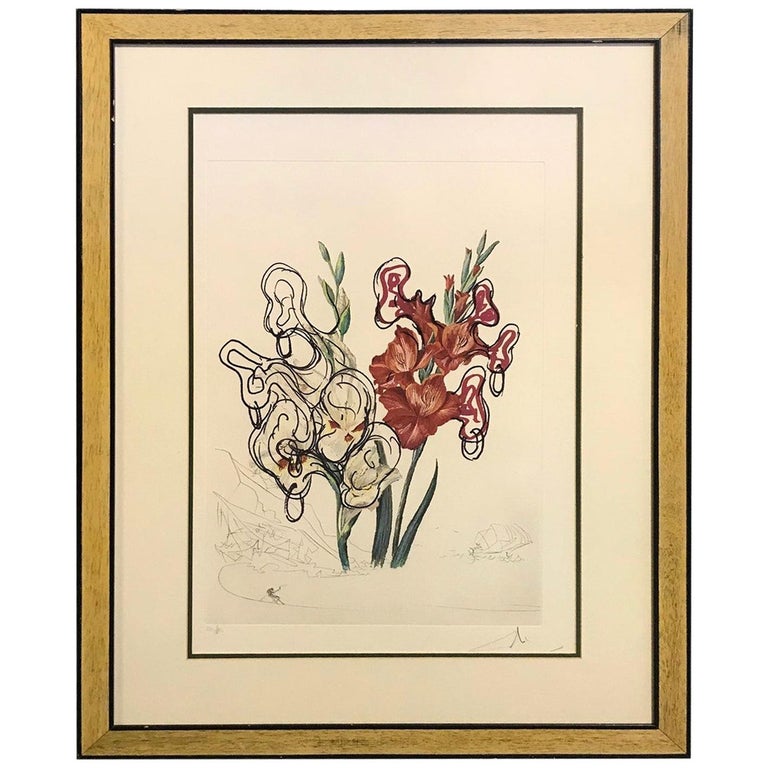 Salvador Dali Original Limited Edition Signed Lithograph Pirate's ...