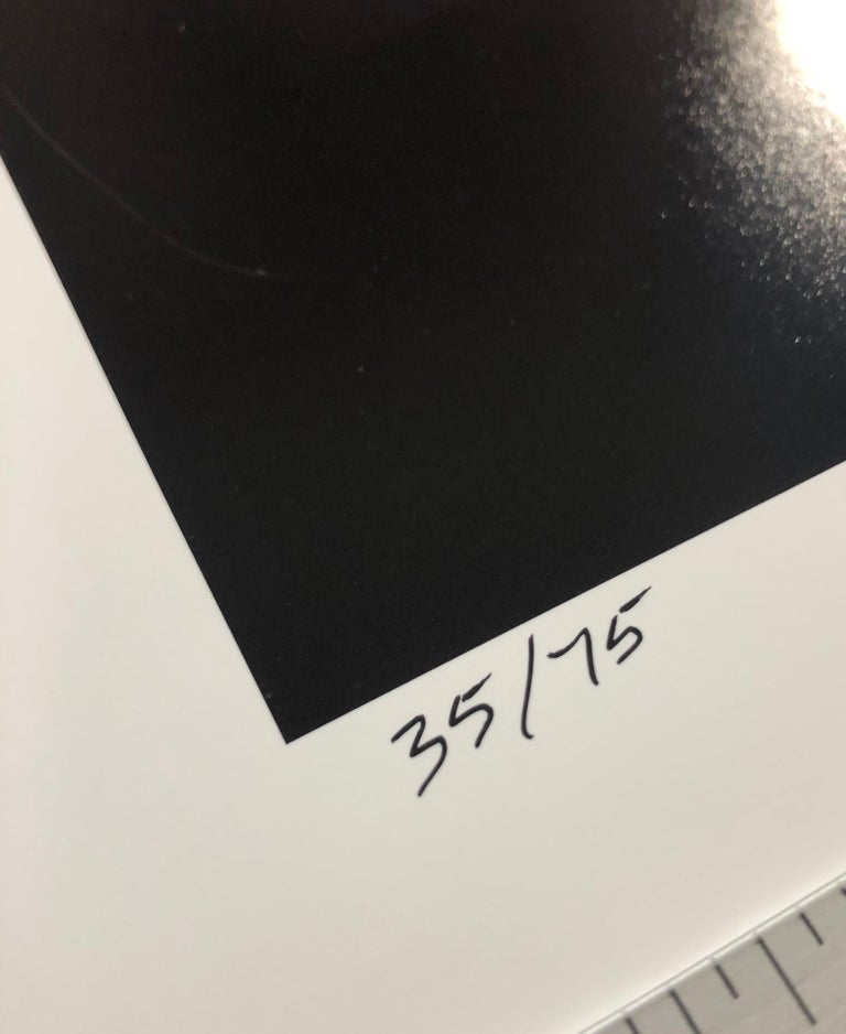 Pompeo Posar - Salvador Dali II for Playboy Legacy Collection 1973 Edition 35 of 75 For Sale at ...