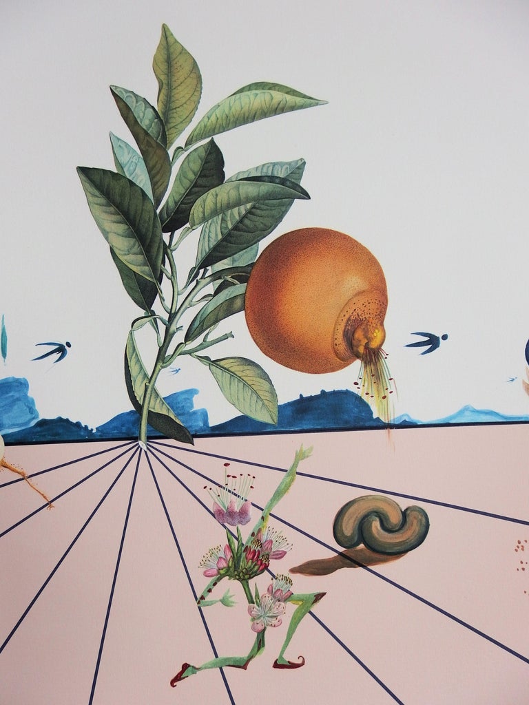 Salvador Dalí­ - Flordali I - Original Lithograph - 1981 (Field page ...