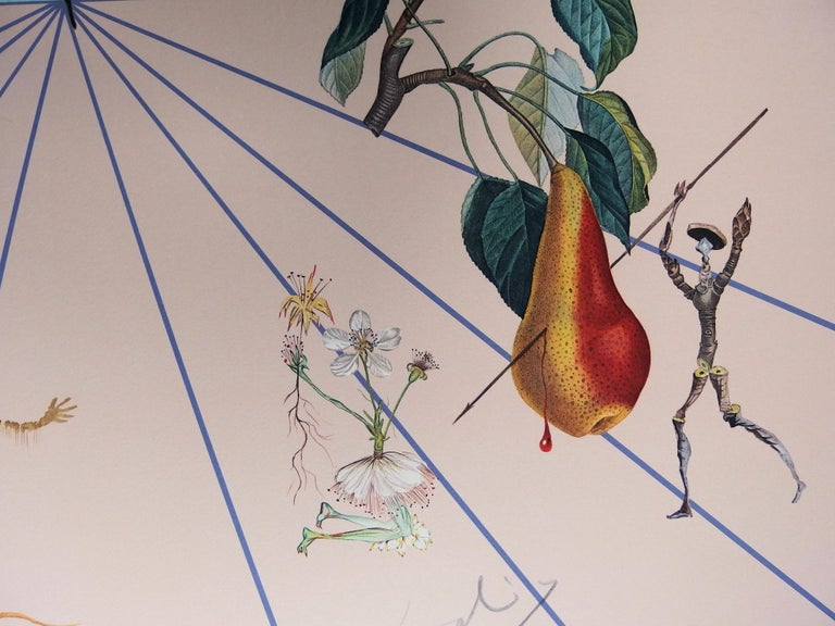 Salvador Dalí­ - Flordali II : Butterfly Rose - Original lithograph ...