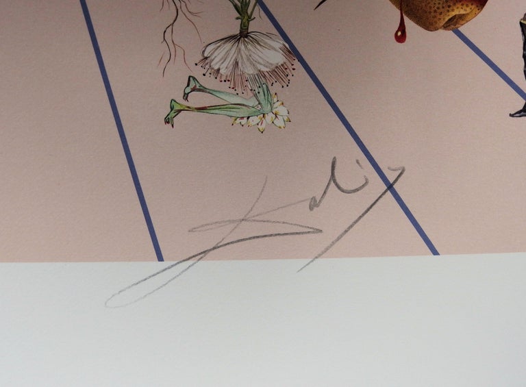Salvador Dalí­ - Flordali II : Butterfly Rose - Original lithograph ...