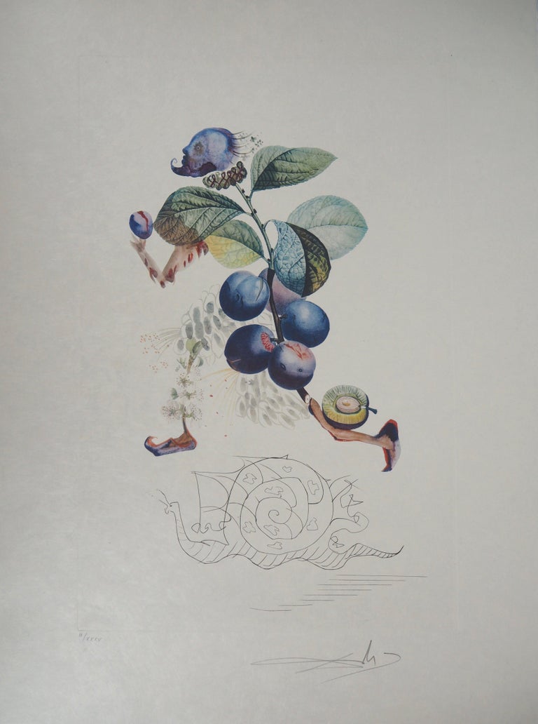 Salvador Dalí­ - Flordali : Running Plum and Snail - Original ...
