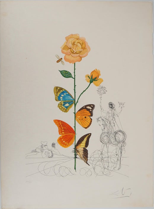 Salvador Dalí­ - Devant le Chateau - China Ink Drawing by Salvador Dalì ...