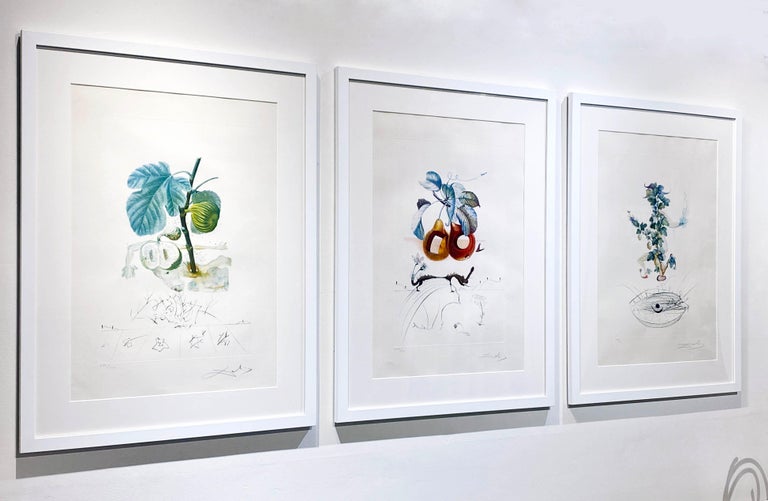 Salvador Dalí­ - Fruit with Holes at 1stDibs