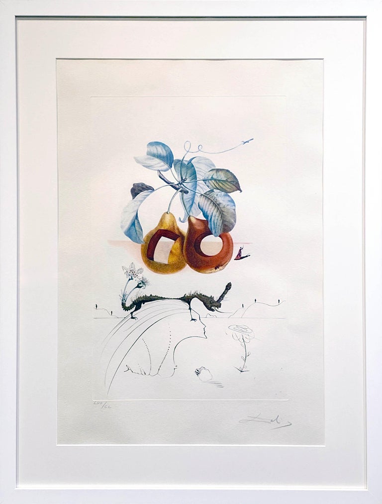 Salvador Dalí­ - Fruit with Holes at 1stDibs