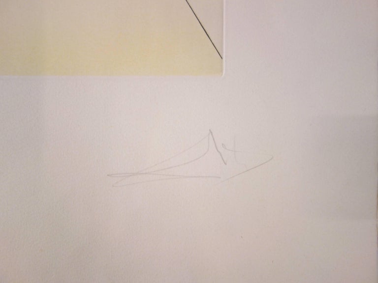 Salvador Dalí­ - Général de Gaulle - Original etching and pochoir ...