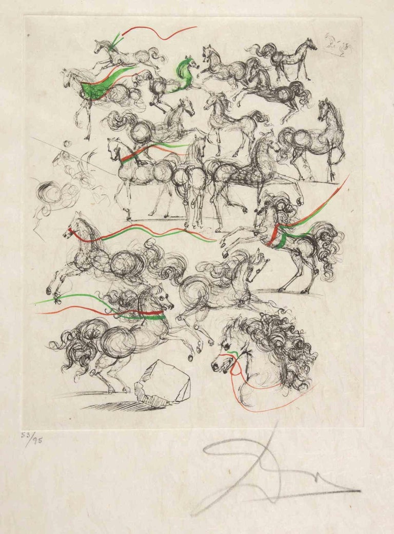 Salvador Dalí­ - Horses - Original Etching by Salvador Dalì - 1970s at 1stDibs