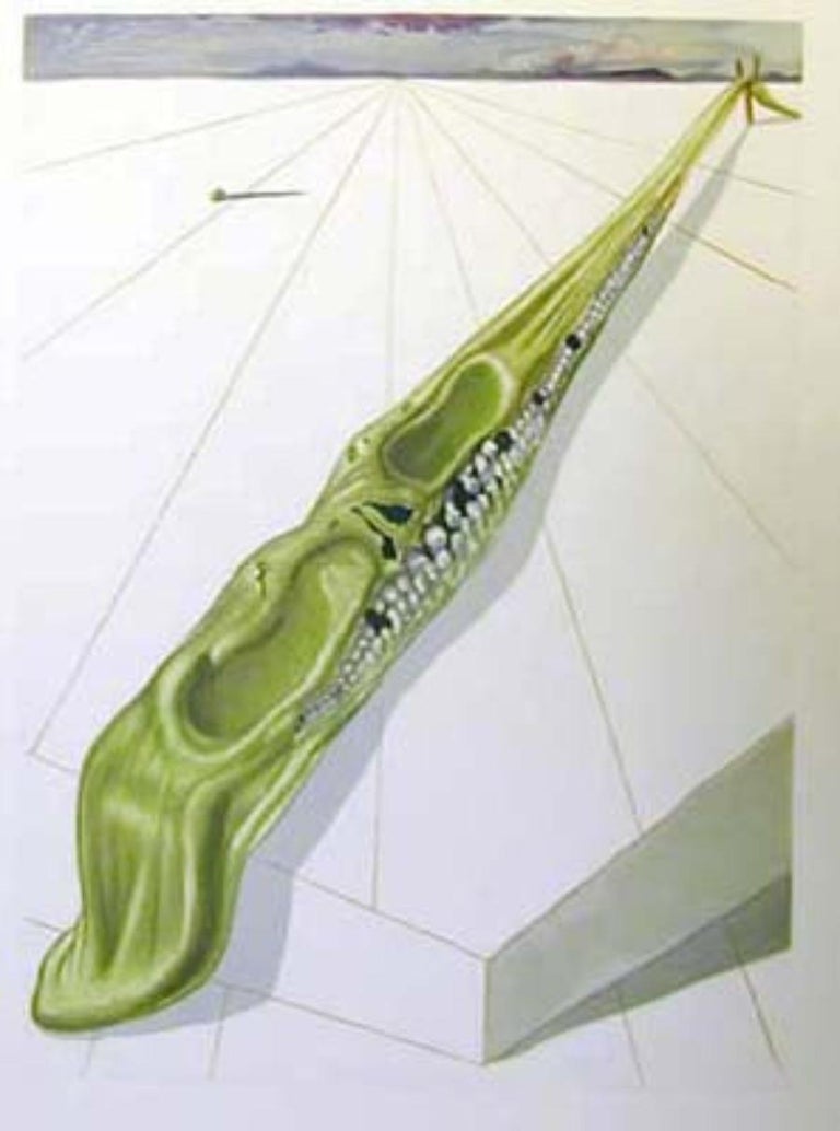 Salvador Dalí­ - Inferno: Canto 14 from The Divine Comedy For Sale at ...