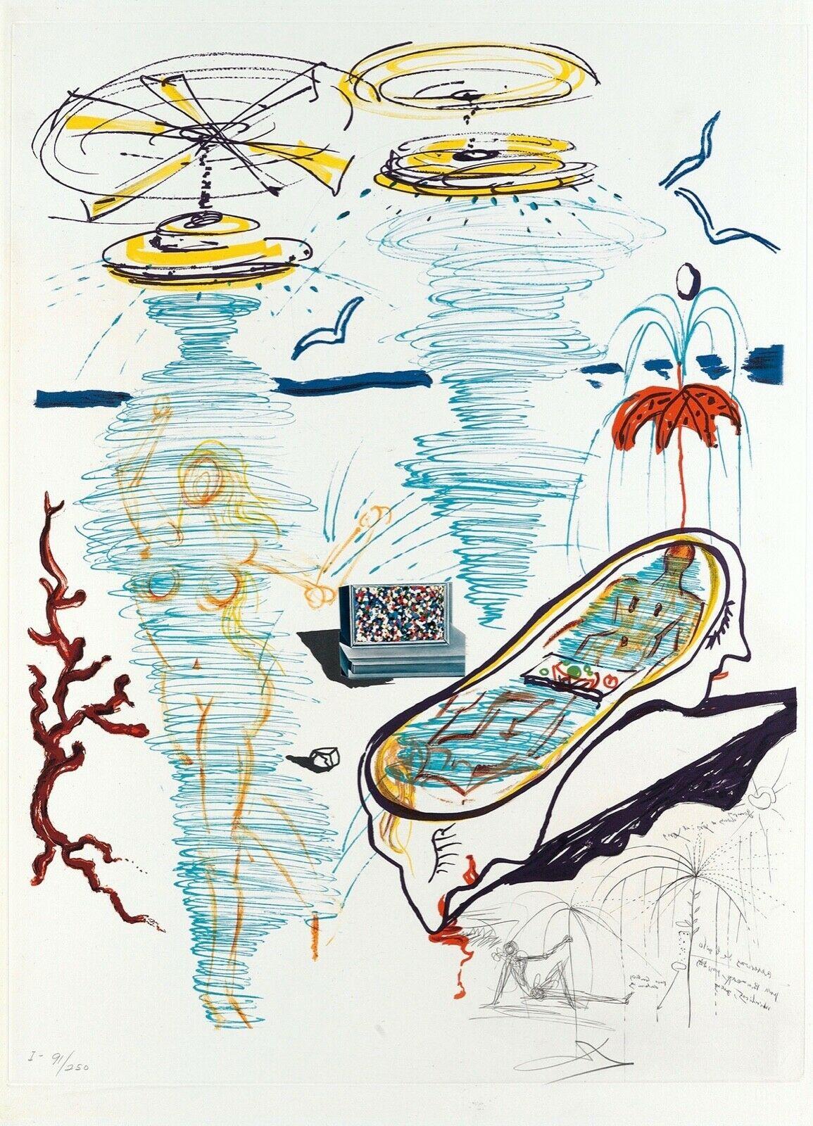 Salvador Dalí­ - Liquid Tornado Bathtub (Imagination and Objects of the ...