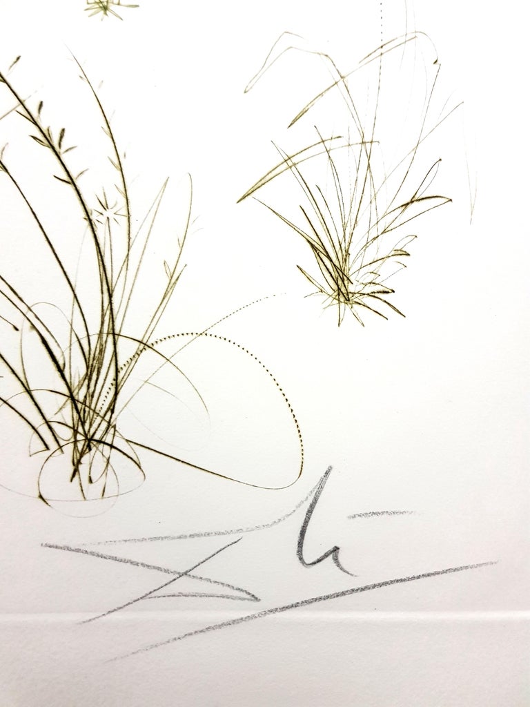 Salvador Dalí­ - Salvador Dali - Brother Ogrin, The Hermit - Original ...