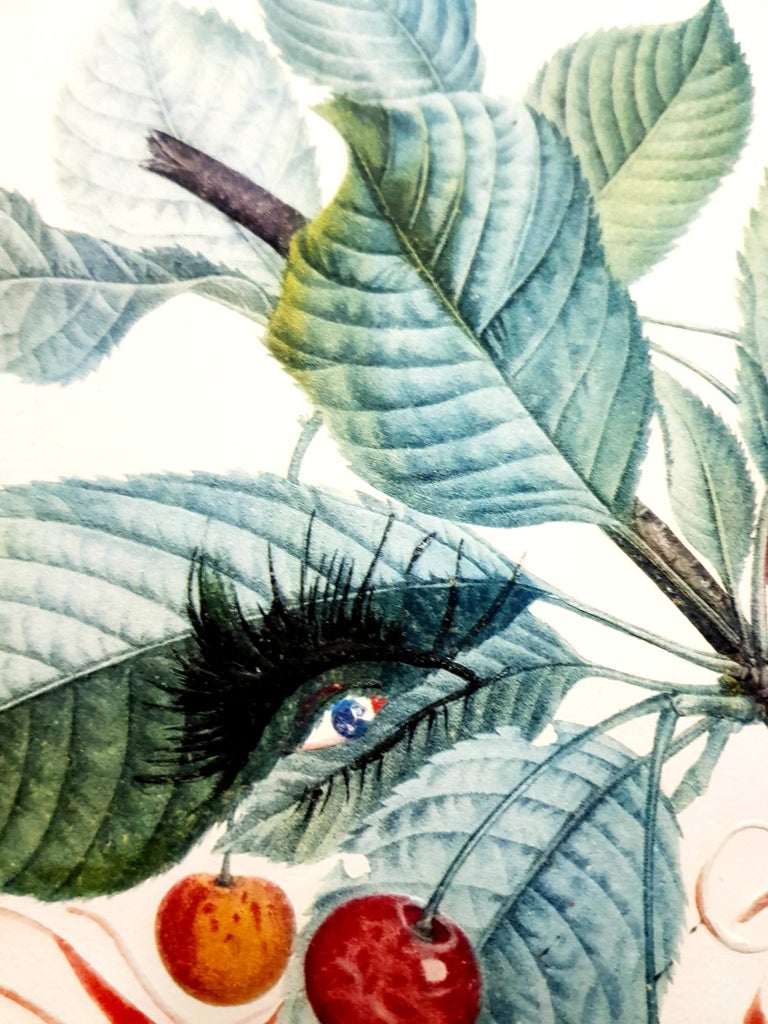 Salvador Dalí­ - Salvador Dali - Cherries - Original Hand-Signed ...