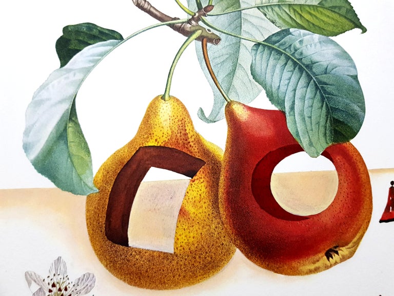 Salvador Dali - Fruits With Holes - Original Hand-Signed Lithograph For ...