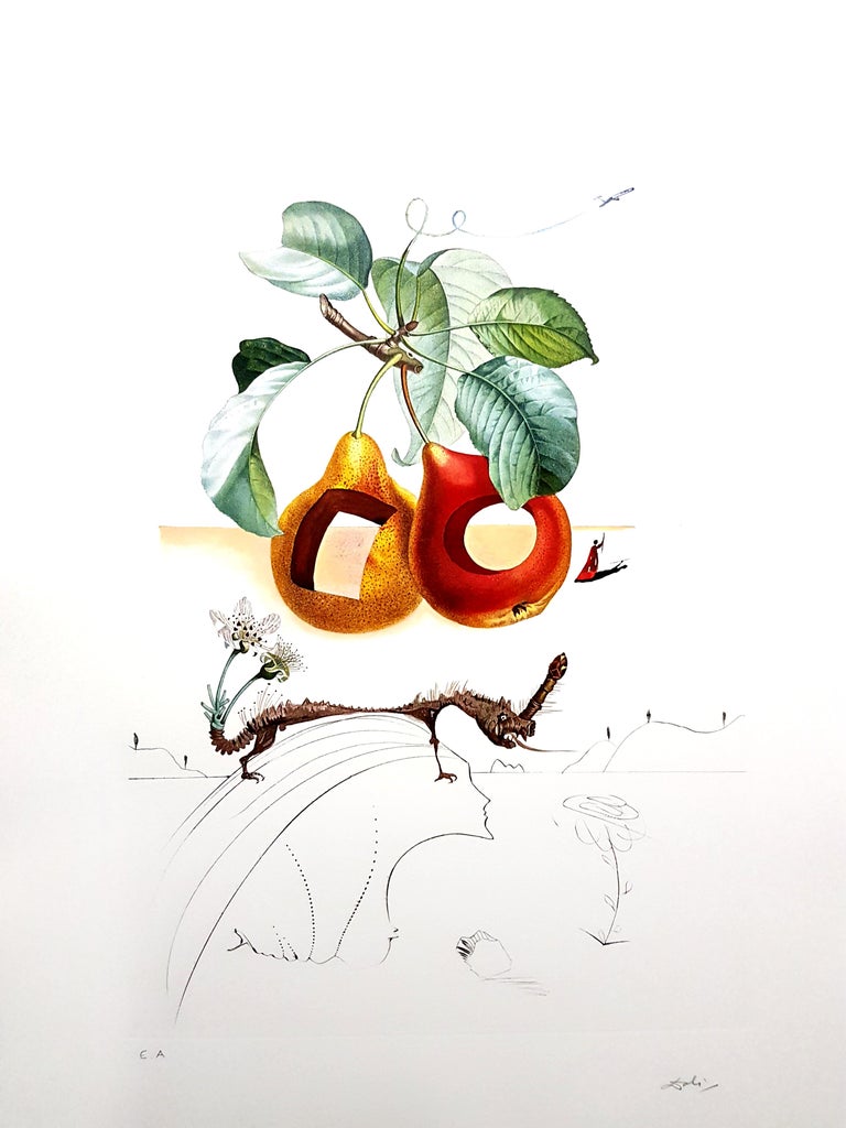 Salvador Dali - Fruits With Holes - Original Hand-Signed Lithograph For ...