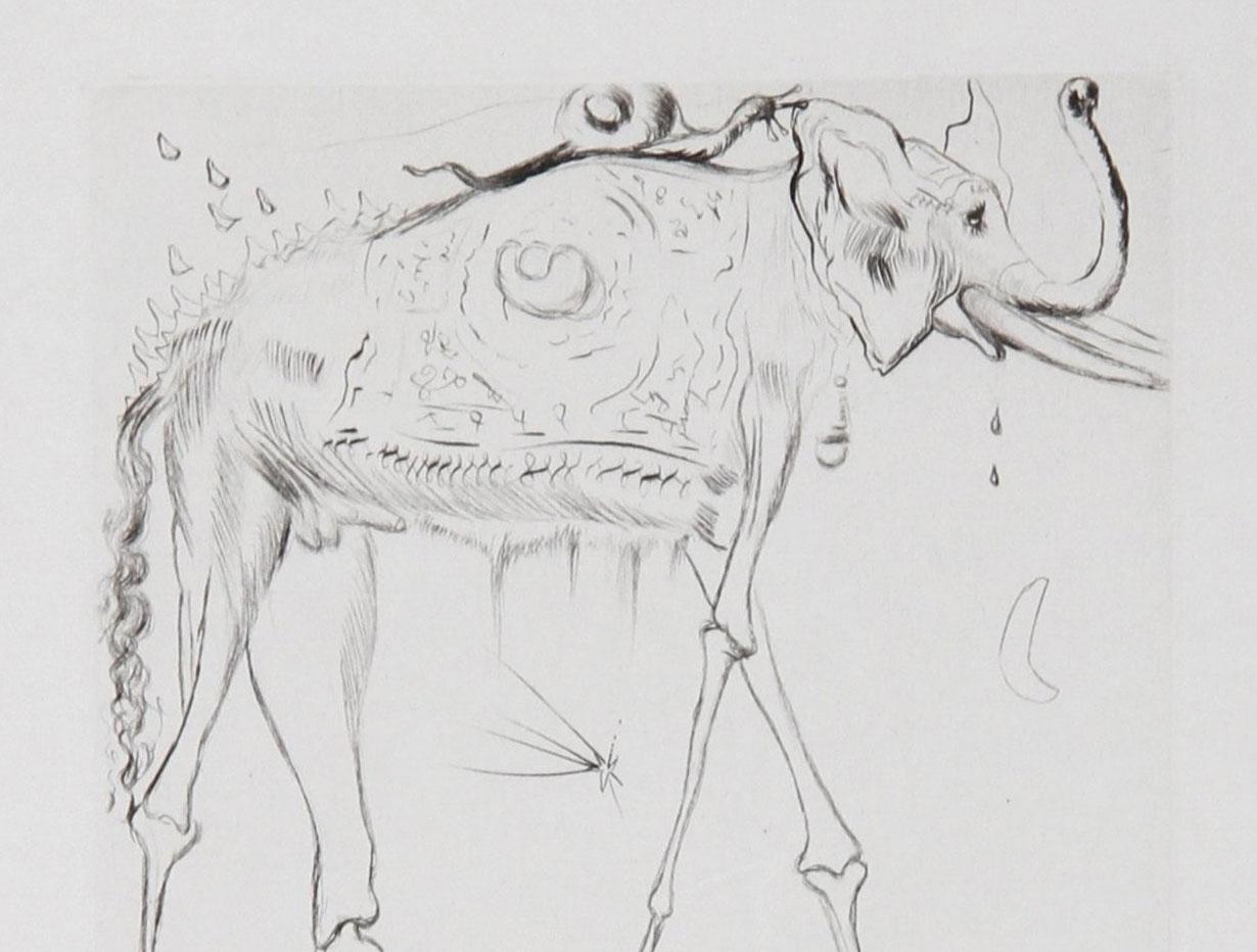 Salvador Dali Elephants Drawing