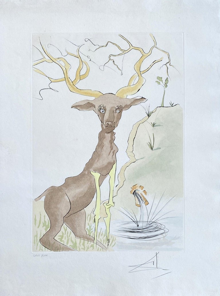 The Deer Seeing Himself in Water - Original Etching Handsigned and Numb ...