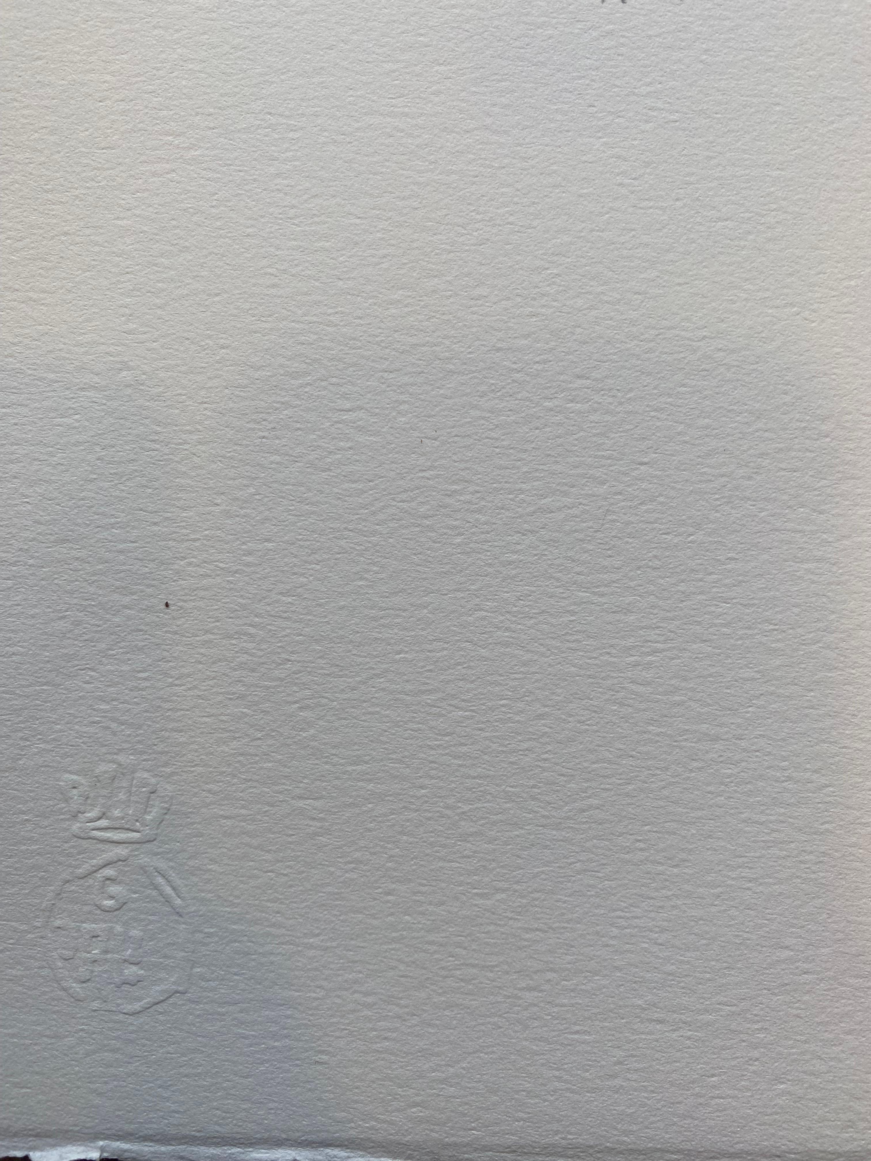 Salvador Dali, Flaming Giraffe at 1stDibs