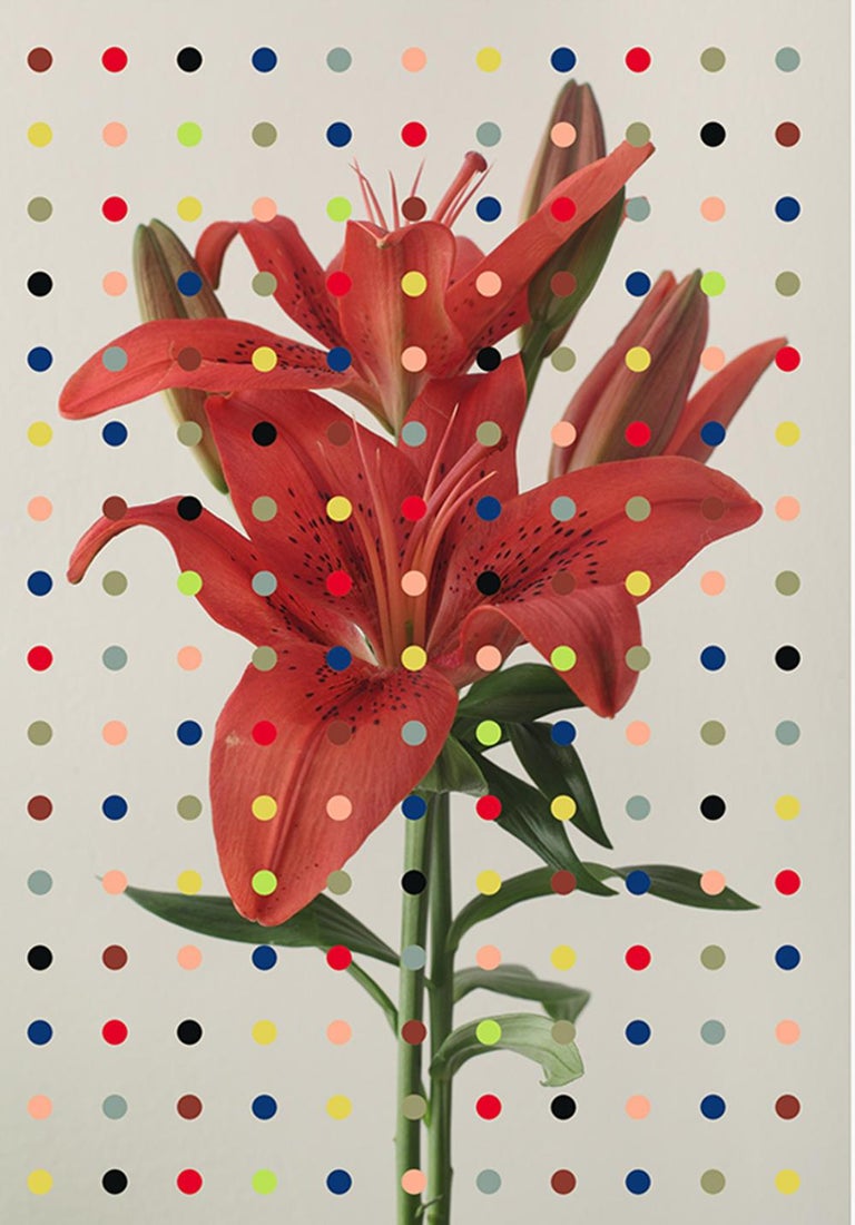 Salvatore Arnone - 6002, From The series ONE For Sale at 1stDibs