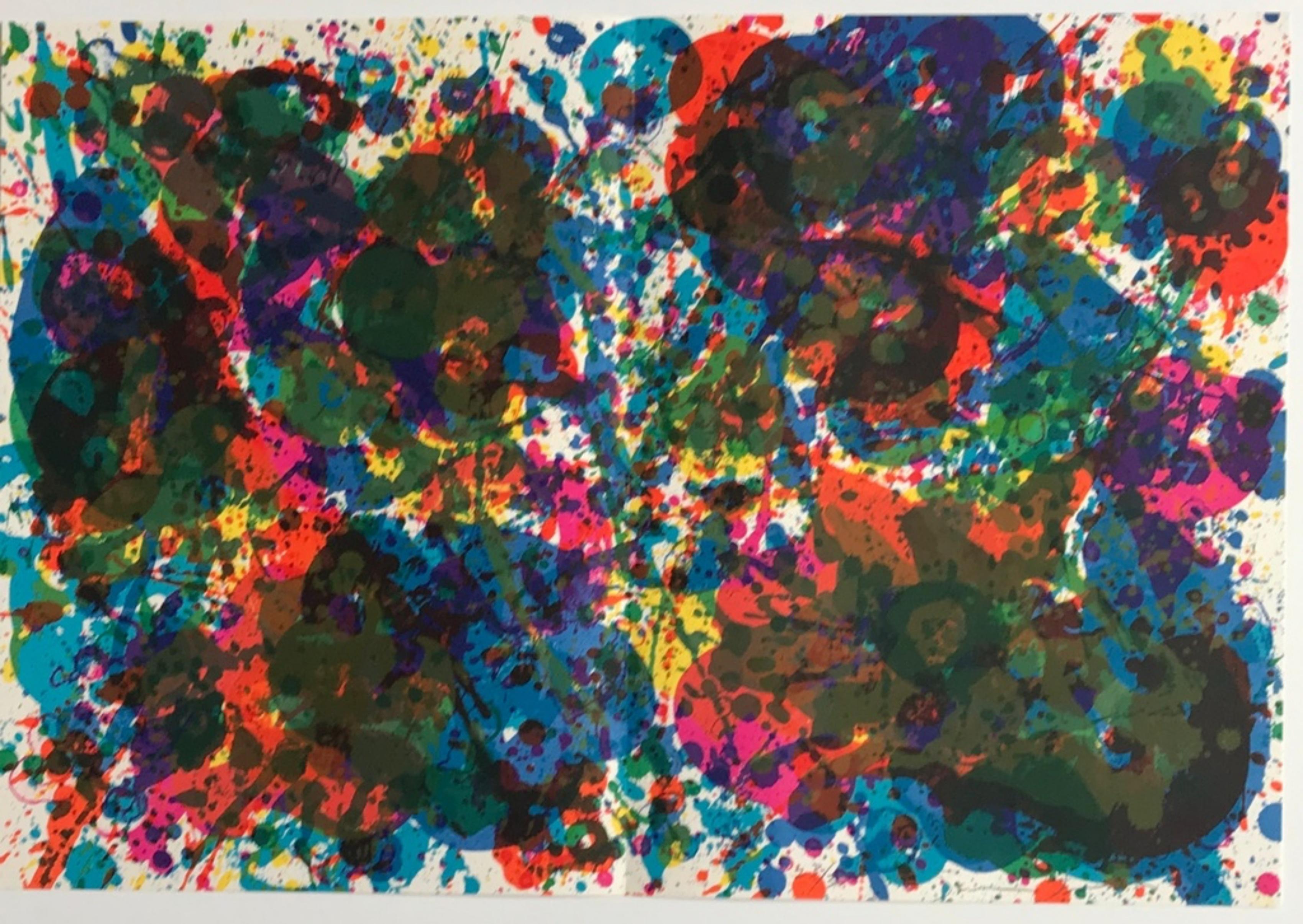 Sam Francis - Carnegie Museum Print (Deluxe Museum Director's Signed ...