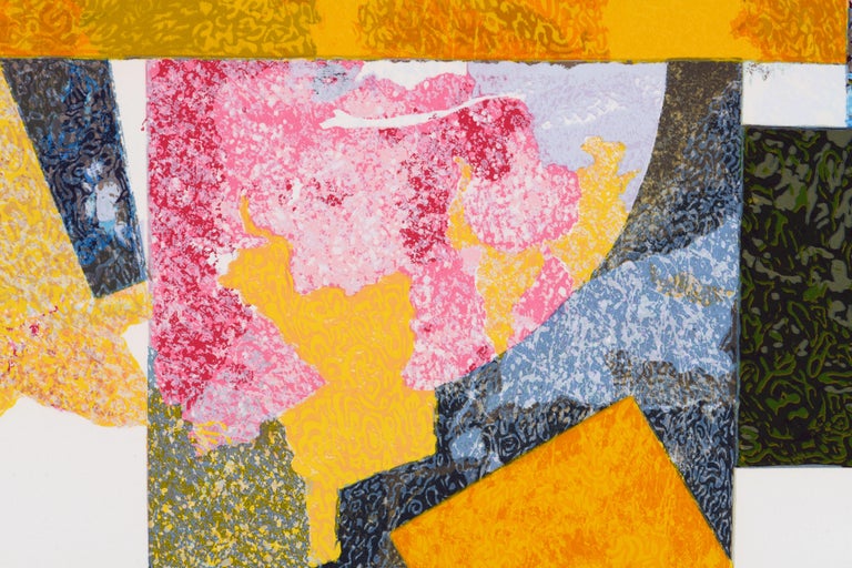 Sam Gilliam "After Smoke" Washington D.C. Abstract Art For Sale at 1stDibs