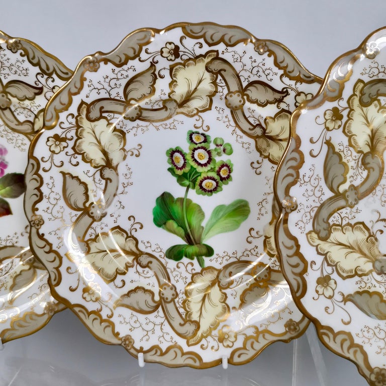 Samuel Alcock Set of 8 Dessert Plates, Superb Flowers, 1835-1840 at 1stdibs