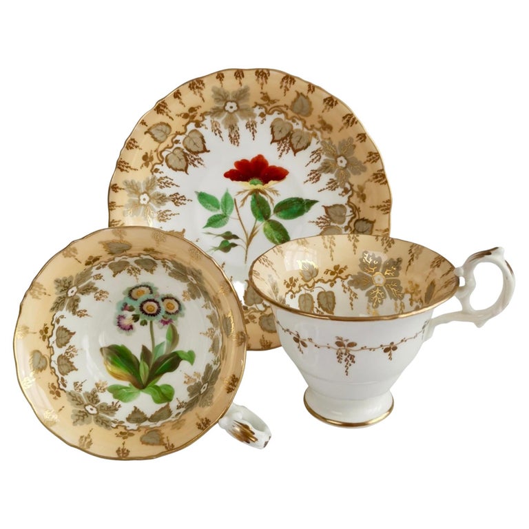 Samuel Alcock Teacup Trio, Beige with Hand Painted Flowers, Rococo ...