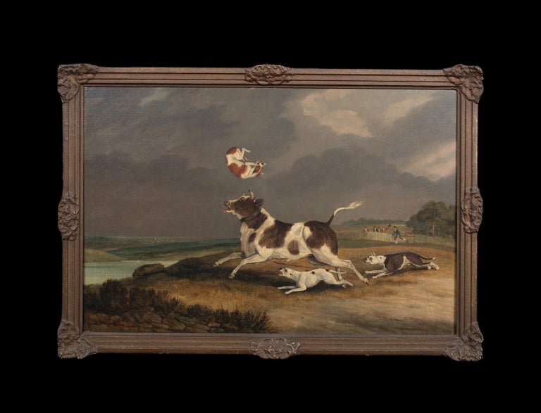 Bull Baiting, 19th Century Samuel Henry Alken (1810-1894) For Sale at ...