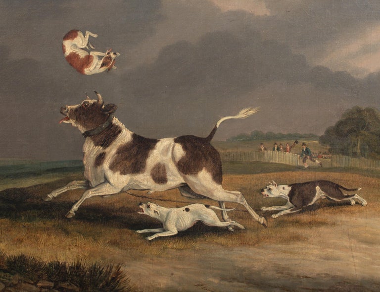 Bull Baiting, 19th Century Samuel Henry Alken (1810-1894) For Sale at ...