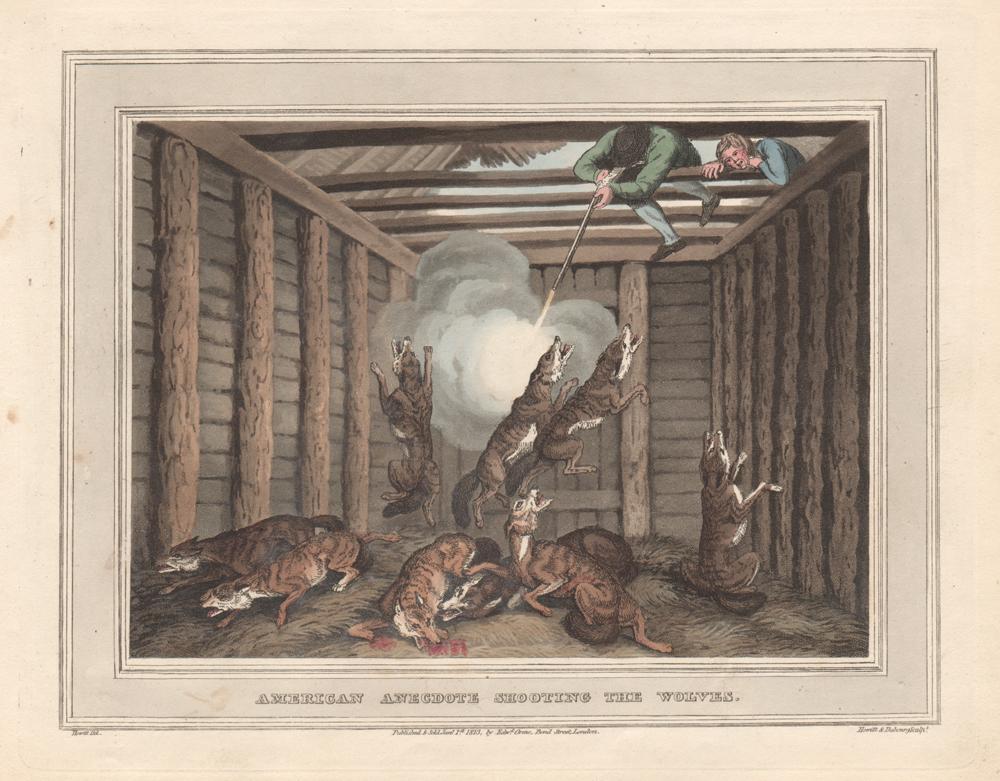 Samuel Howitt - Turtle Fishing in the Water at 1stDibs