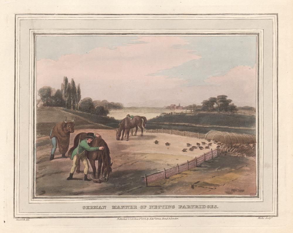 George Garrard - "A Suffolk Cow" Naturalistic Animal Engraving at 1stDibs