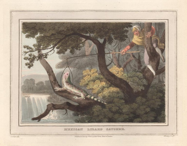 Samuel Howitt - Mexican Lizard Catcher, aquatint engraving field sport ...