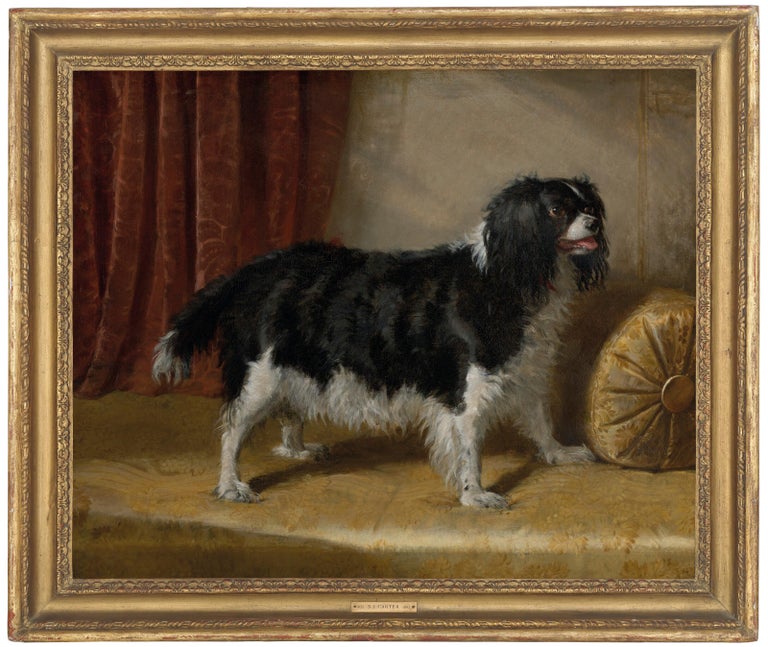 Samuel John Carter - A portrait of a black and white spaniel dog in a ...