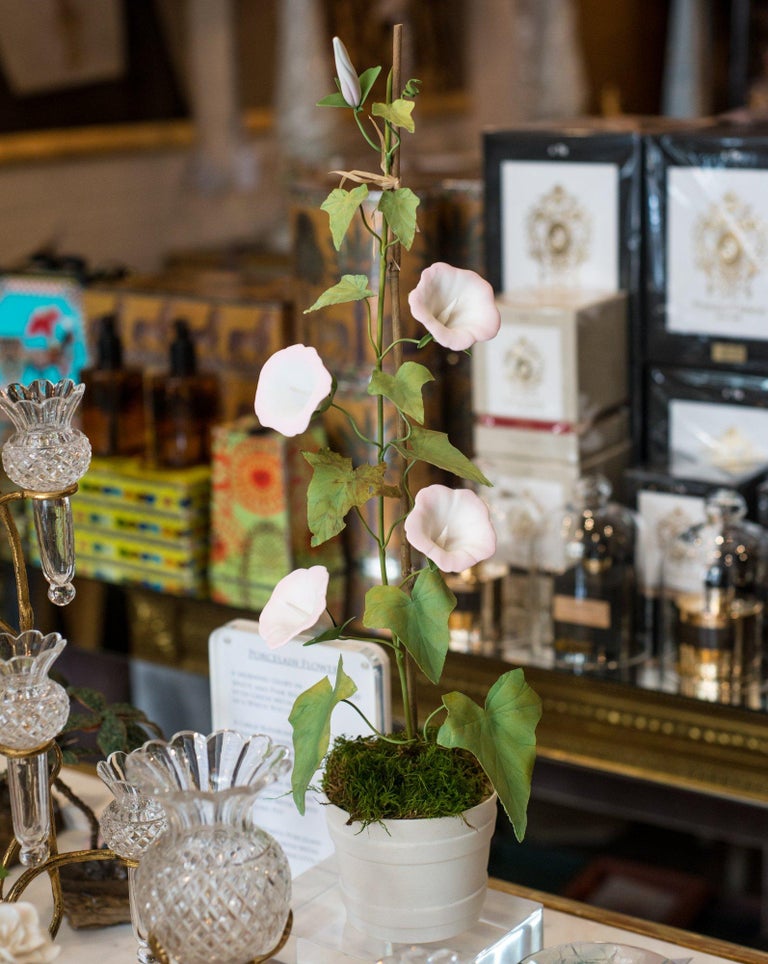 Samuel Mazy Pink Porcelain Morning Glory Sculpture For Sale at 1stDibs