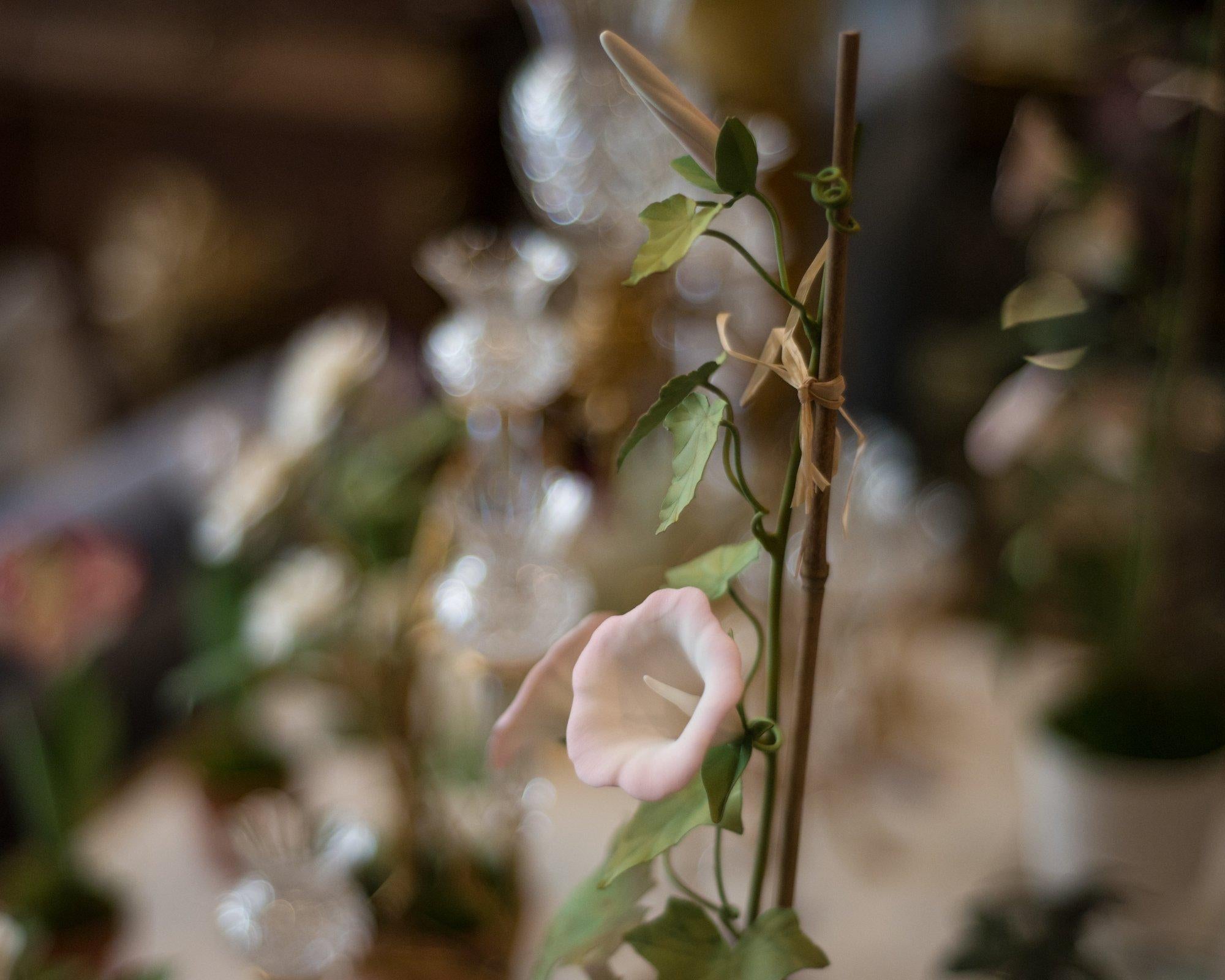 Samuel Mazy Pink Porcelain Morning Glory Sculpture at 1stDibs