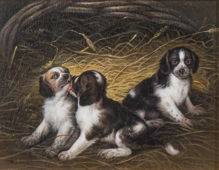 Samuel Raven - Samuel Raven Early 19th Century Playful Puppies/Dogs ...