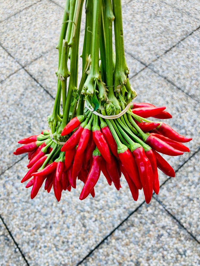 Sandra Salamonová - Spicy Fine Art print Limited Edition For Sale at ...