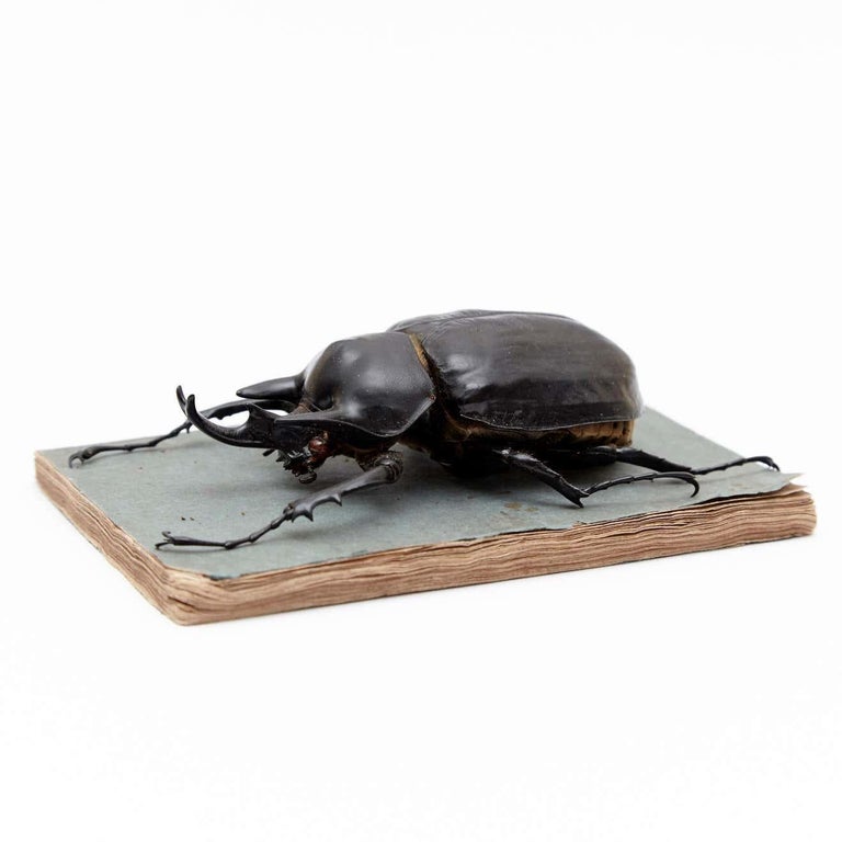 Sandro Contemporary Art Still Life, Protection, 2017 For Sale at 1stDibs