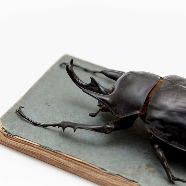 Sandro Contemporary Art Still Life, Protection, 2017 For Sale at 1stDibs