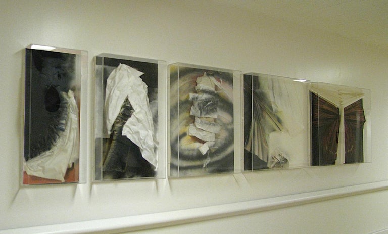 Sandy Bleifer - Paper Becoming Butterfly IV For Sale at 1stDibs