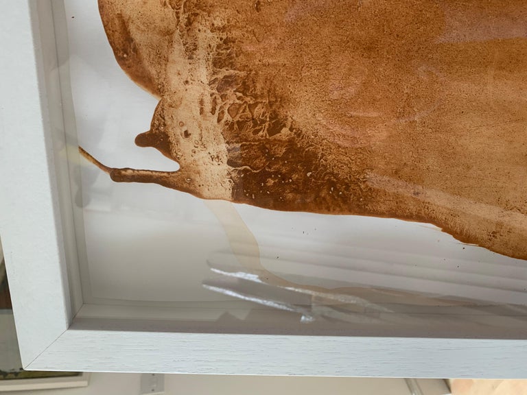 Sara Dudman - Disinterred Drawing (Garden 01): Earth Pigment Painting ...