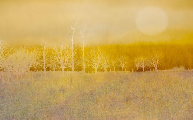 Sarah Brooks - Ancient Trackway 5 For Sale at 1stDibs