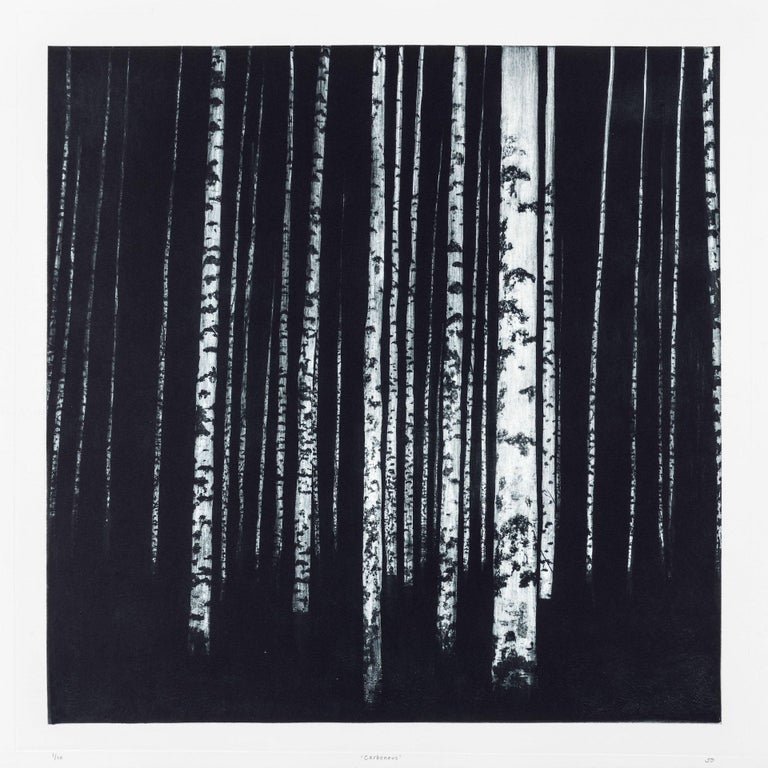 Sarah Duncan - Carbonous and Neula diptych For Sale at 1stDibs