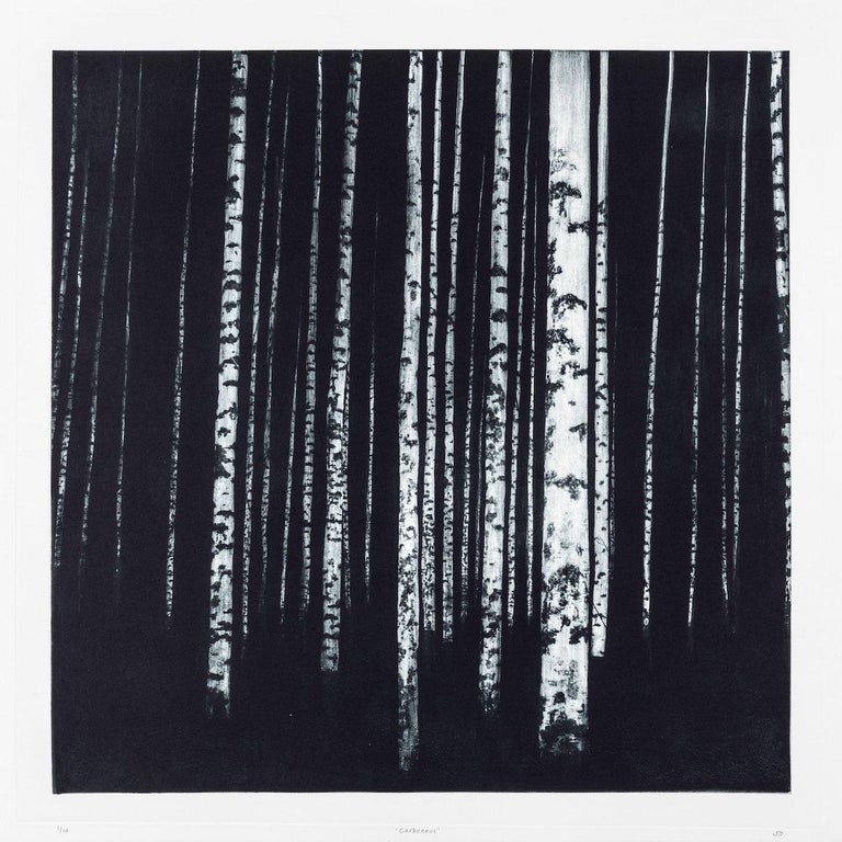 Sarah Duncan - Carbonous For Sale at 1stDibs